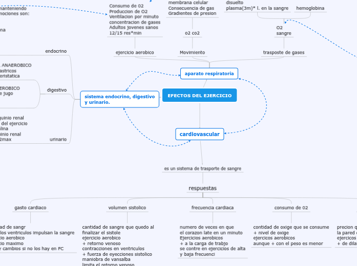 fisiologia del ejercicio - Mind Map
