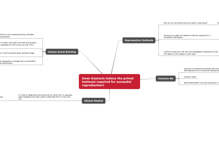 Research Paper - Mind Map