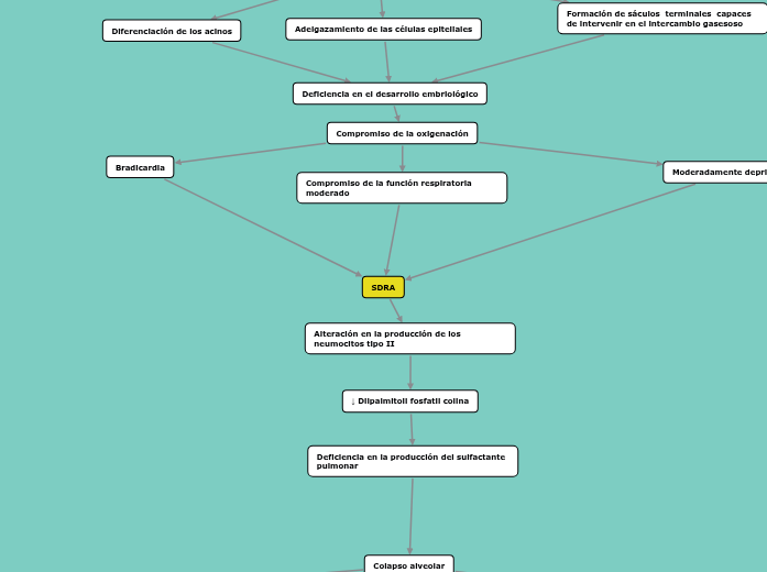 SDRA - Mind Map