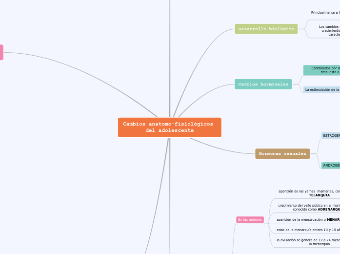 Cambios anatomo-fisiológicos del adolescen...- Mind Map