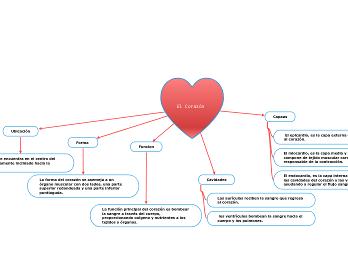 El Corazón - Mind Map