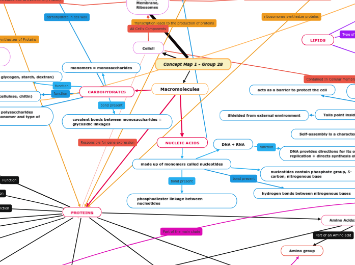 Concept Map 1 - Group 28 - Mind Map