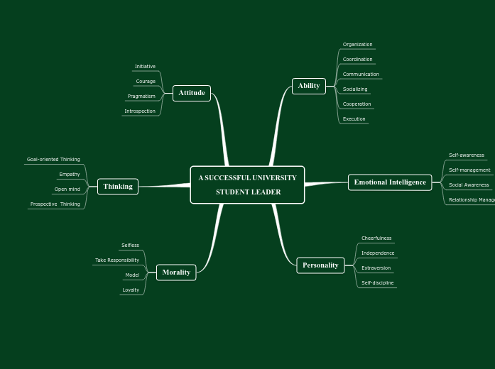 A SUCCESSFUL UNIVERSITY STUDENT ...- Mind Map