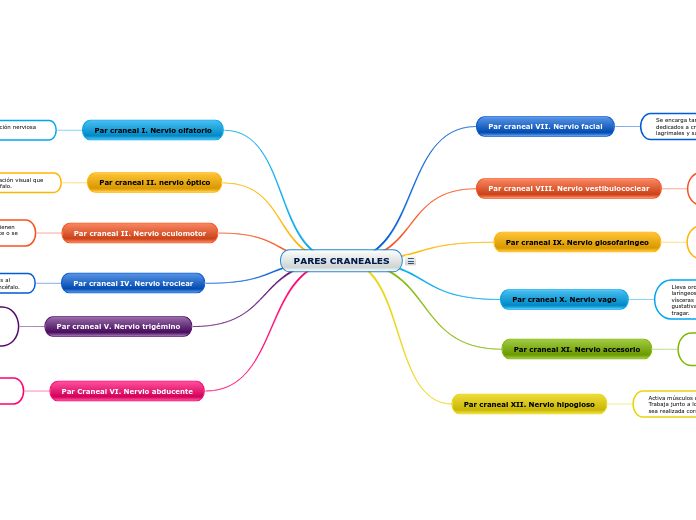 MAPA_CONCEPTUAL_PARES_CRANEALES_LUIS_FERNA...- Mind Map