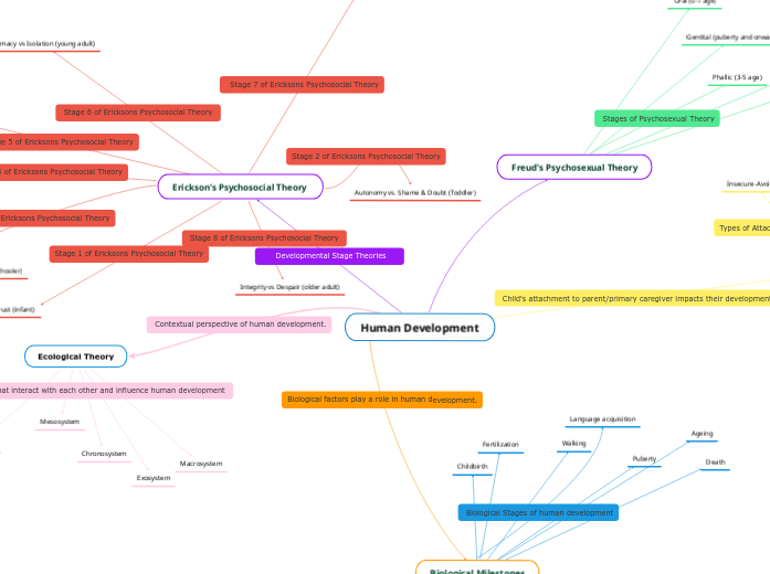 Human Development - Mind Map