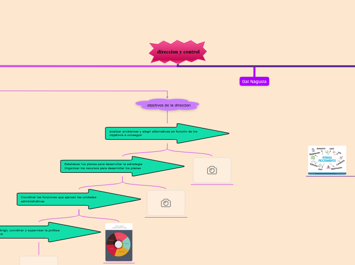 direccion y control | Mapa mental Mindomo