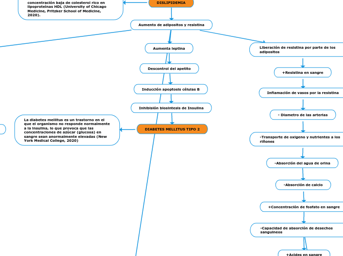 DIABETES MELLITUS TIPO 2 - Mind Map