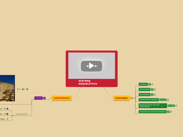 SISTEMA LOCOMOTOR - Mind Map