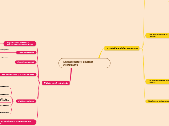 Crecimiento y Control Microbiano - Mind Map