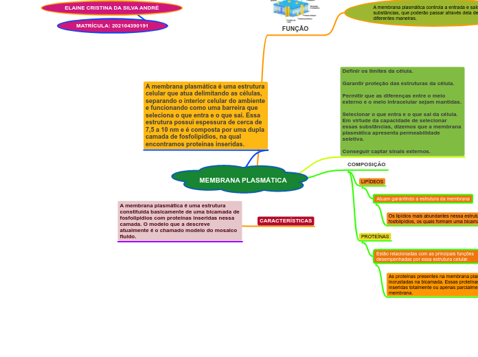 MEMBRANA PLASMÁTICA - Mind Map