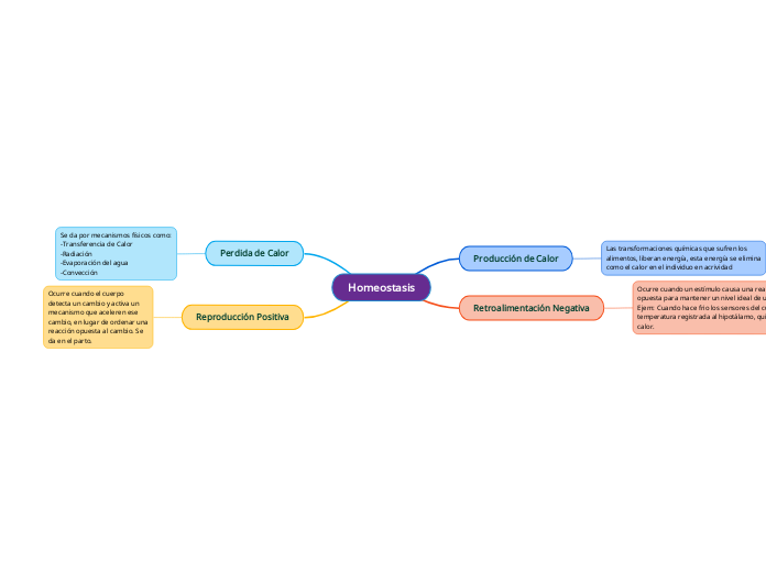 Homeostasis - Mind Map