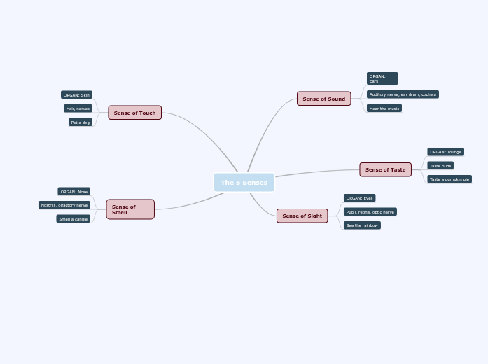 The 5 Senses - Mind Map