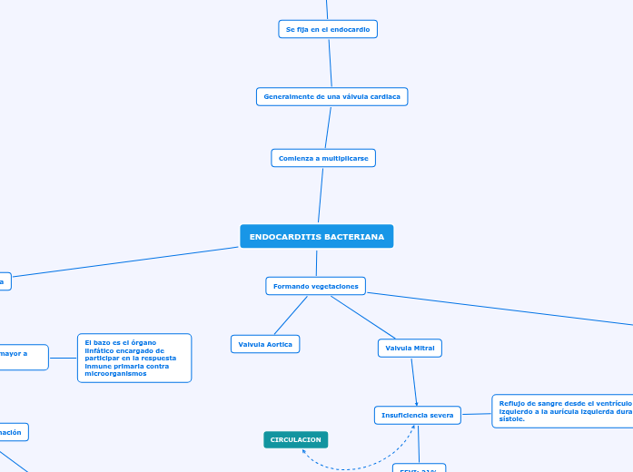 ENDOCARDITIS BACTERIANA - Mind Map