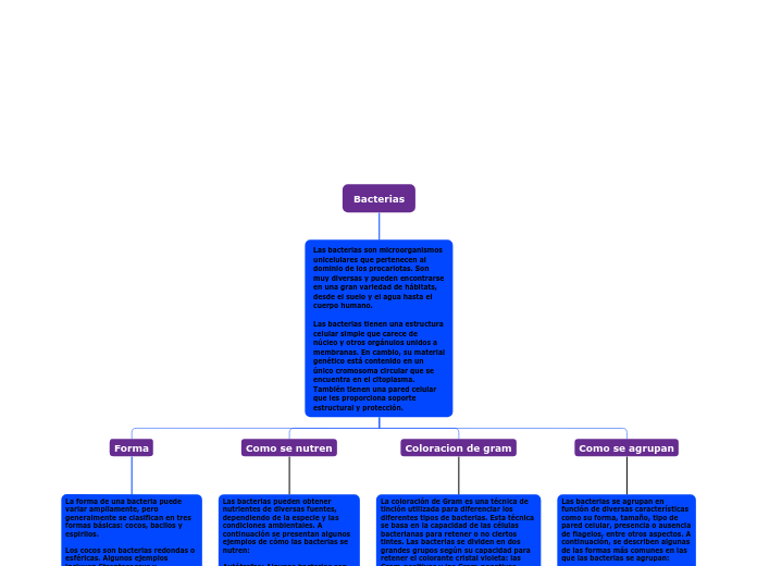 Bacterias - Mind Map