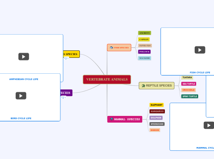VERTEBRATE ANIMALS - Mind Map