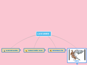 LAS AVES - Mind Map
