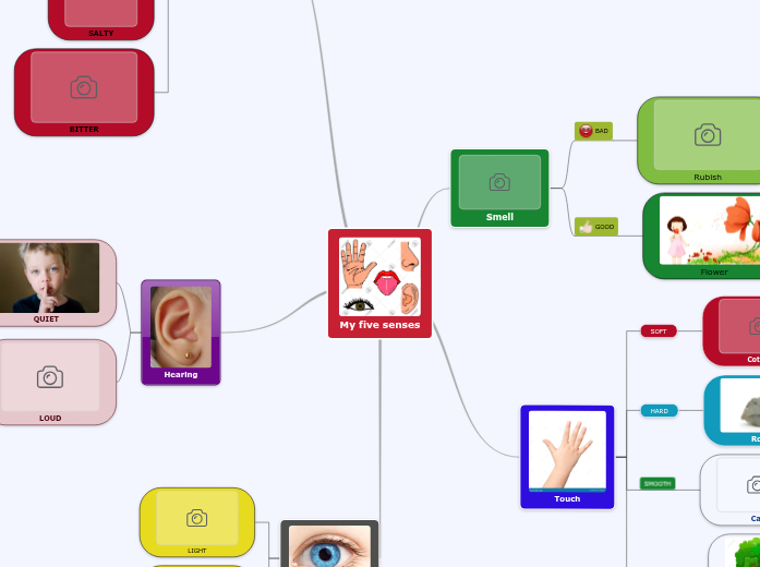 My five senses - Mind Map