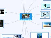 extreme sports - Mind Map