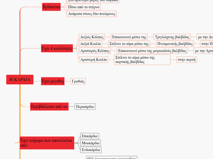 Η ΚΑΡΔΙΑ - Mind Map