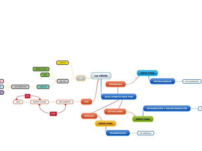 ESTRUCTURA DE LA CÉLULA EUCARIOTA | Mindomo Mind Map