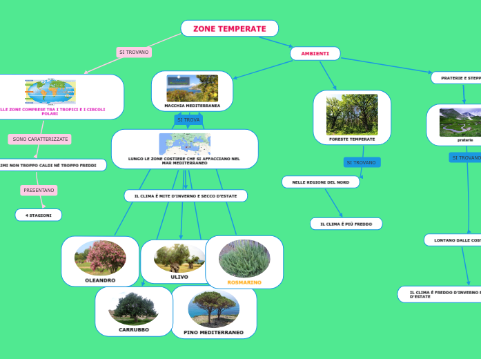 ZONE TEMPERATE - Mind Map