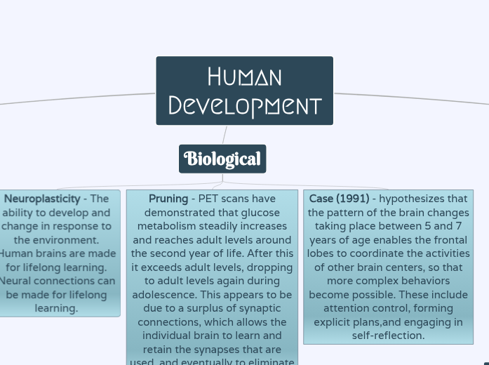 Factors that Influence Human Development - Mind Map