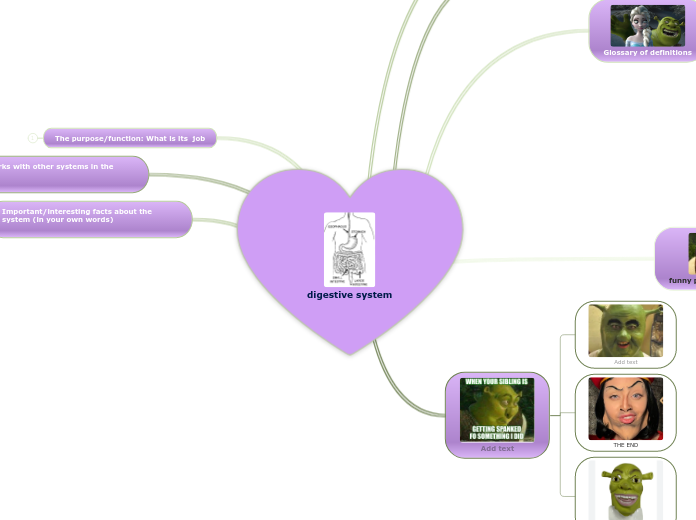digestive system - Mind Map