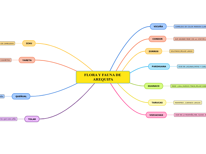 FLORA Y FAUNA DE AREQUIPA - Mind Map
