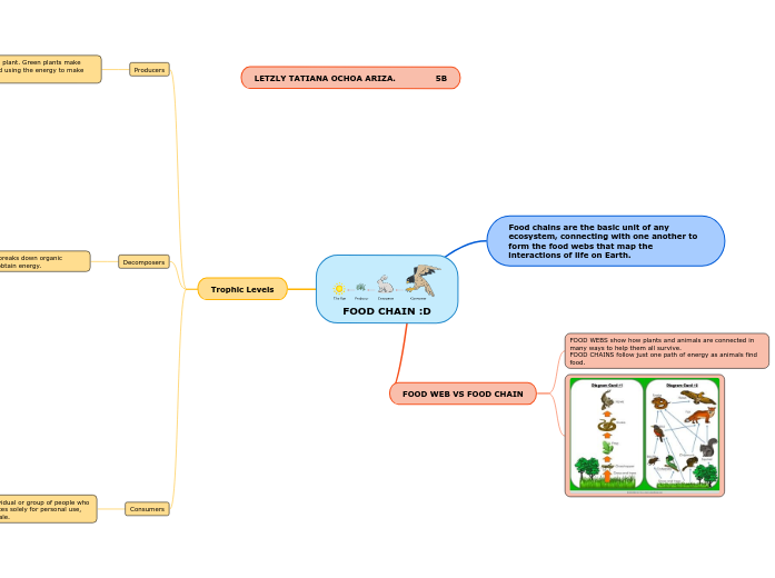 FOOD CHAIN :D - Mind Map