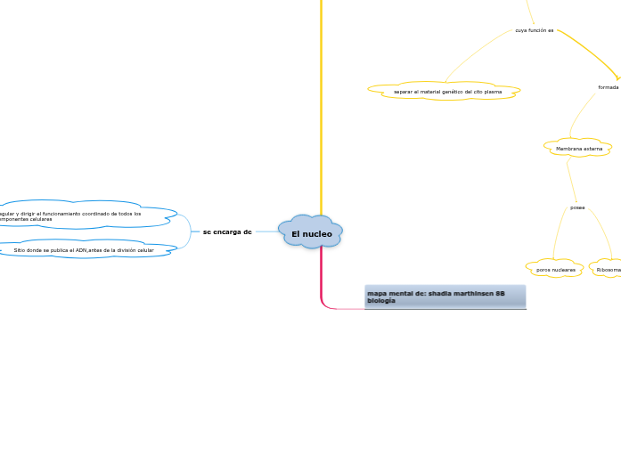 El nucleo - Mind Map