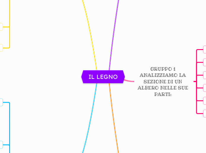 IL LEGNO - Mind Map