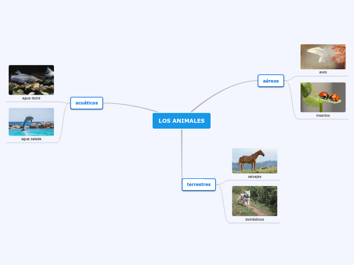 LOS ANIMALES - Mind Map