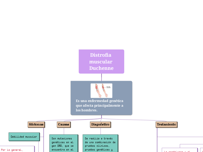 Distrofia muscular Duchenne - Mind Map