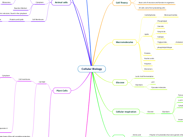 Cellular Biology - Mind Map