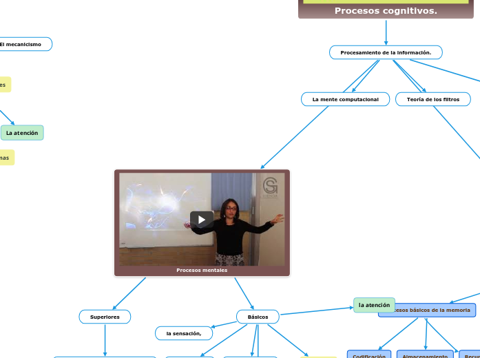 Procesos cognitivos. | Mapa mental Mindomo