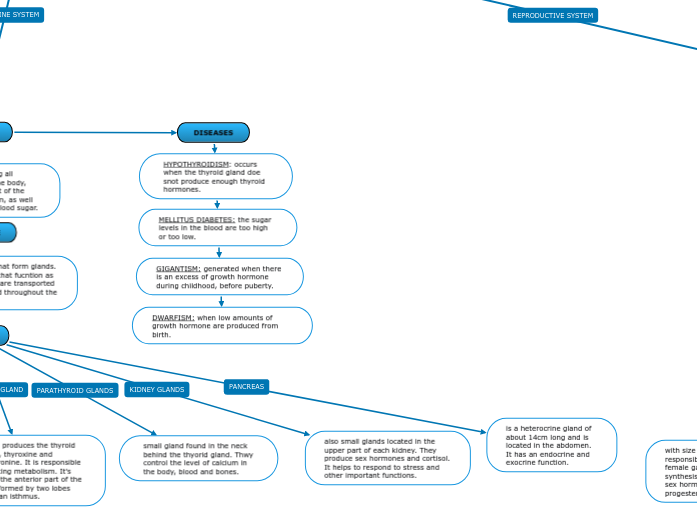 PIA - CONCEPT MAP - STAGE 4 - Mind Map