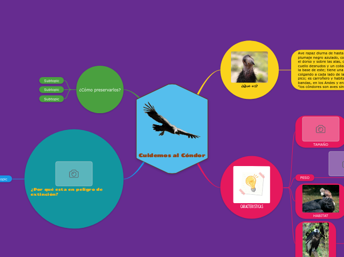 Cuidemos al Cóndor - Mind Map