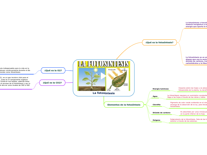 La fotosíntesis - Mind Map