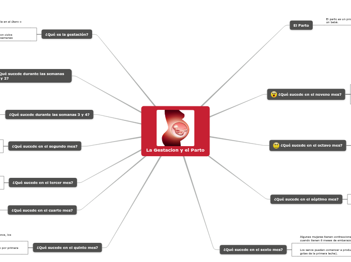 La Gestacion y el Parto - Mind Map