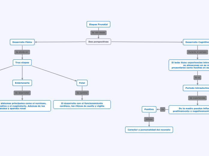 Etapas Prenatal - Concept Map