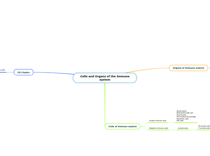 Cells and Organs of the Immune system - Mind Map