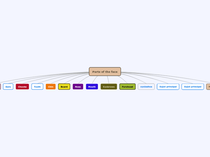 Parts of the face - Mind Map