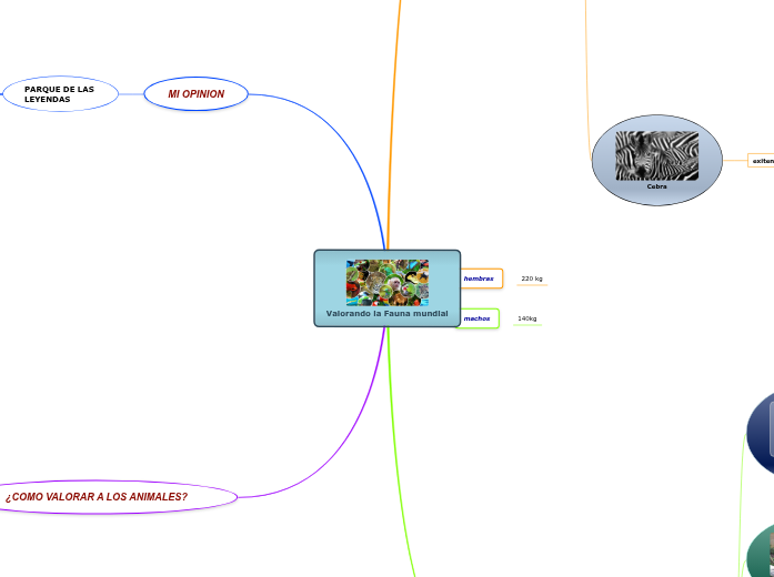Valorando la Fauna mundial - Mind Map