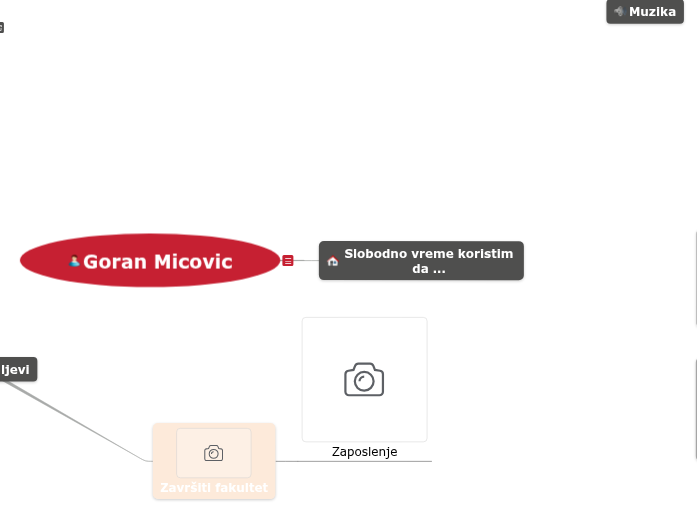 Goran Micovic - Mind Map