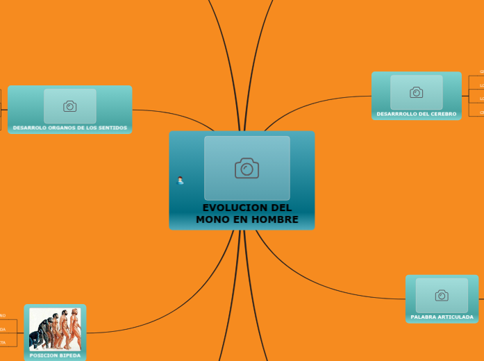 mindomo yaneth virginia gomez gomez | Mapa mental Mindomo