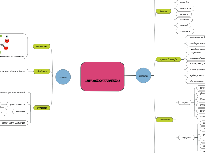 AMINOACIDOS Y PROTEINAS - Mind Map