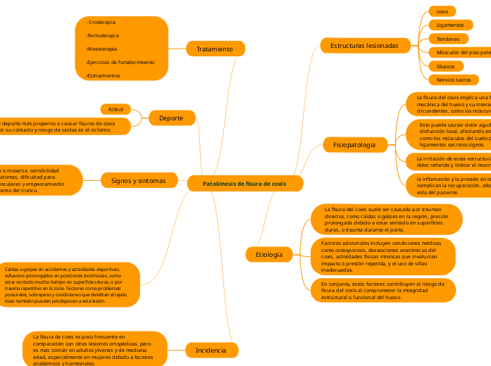 Neuroplasticidad y aprendizaje motor - Mind Map
