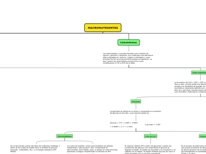 MACRONUTRIENTES - Mind Map