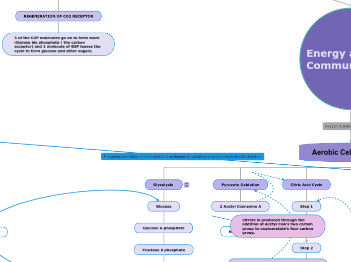 Energy and Cell Communication - Mind Map
