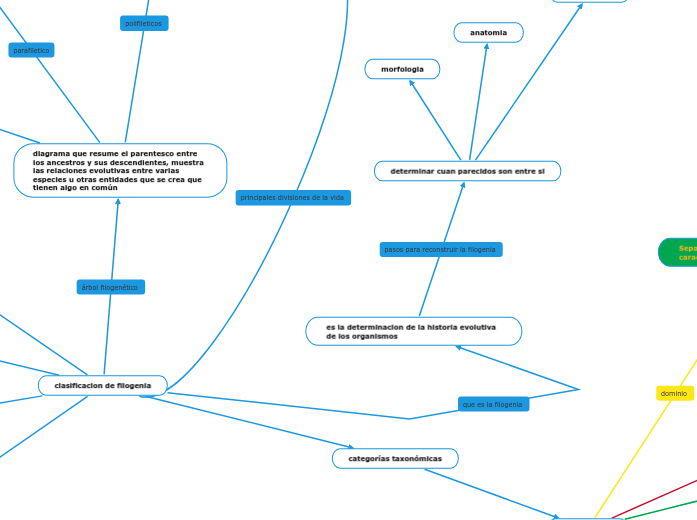 clasificacion de filogenia - Mind Map